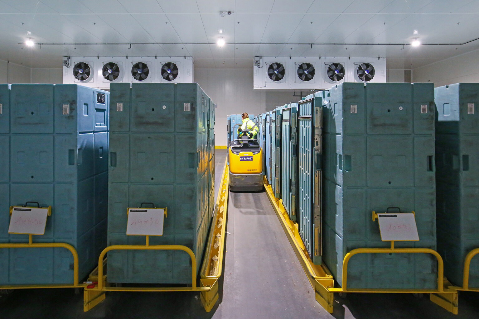 Cold chain logistics: transporting fruit and vegetables - Olivo Logistics